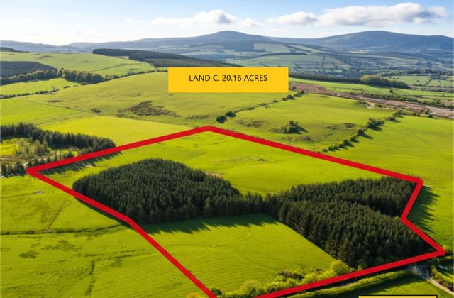 Land c. 20.16 acres/ 8.16 Ha., Punchestown Upper, Kilteel, Co. Kildare ...